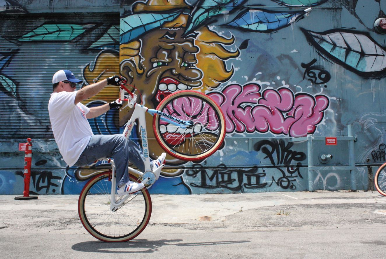 SE Bikes DJ Ripper HD ++ günstig bestellen ️Fahrrad Experte ️